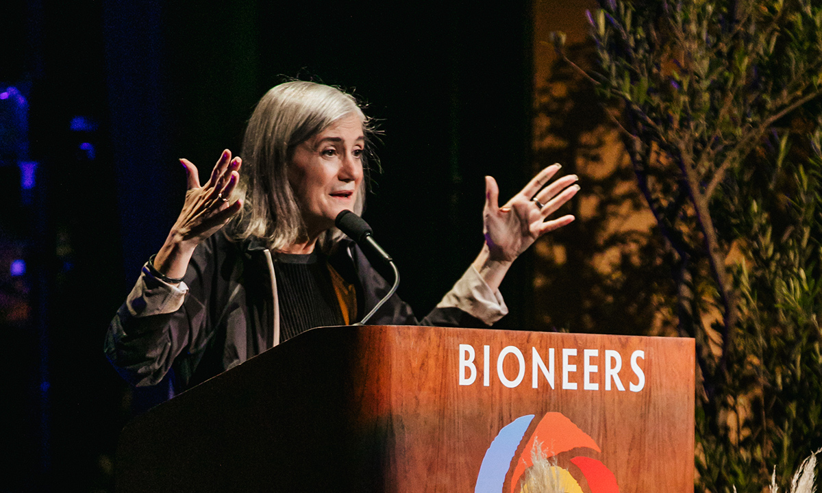 Amy Goodman on the KKK and independent media - Bioneers
