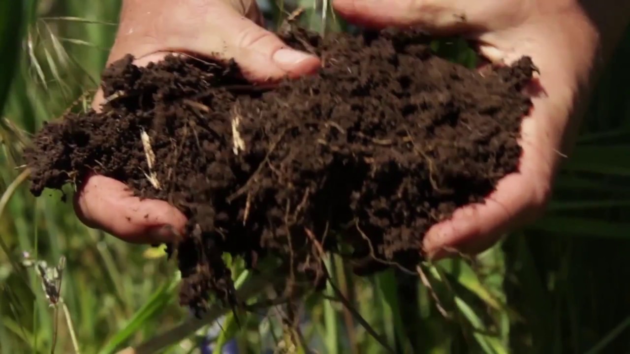 Fibershed: Building Local Economy and Healing the Climate - Bioneers