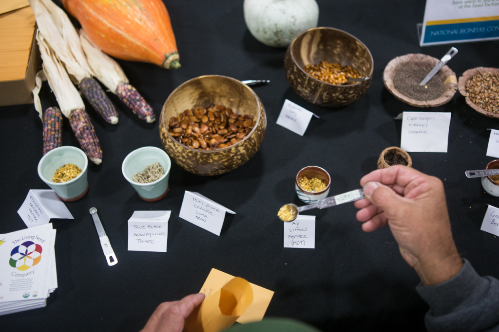 Seed Saving Tips with Sarah McCamant, John Navazio, and Matthew Dillon ...