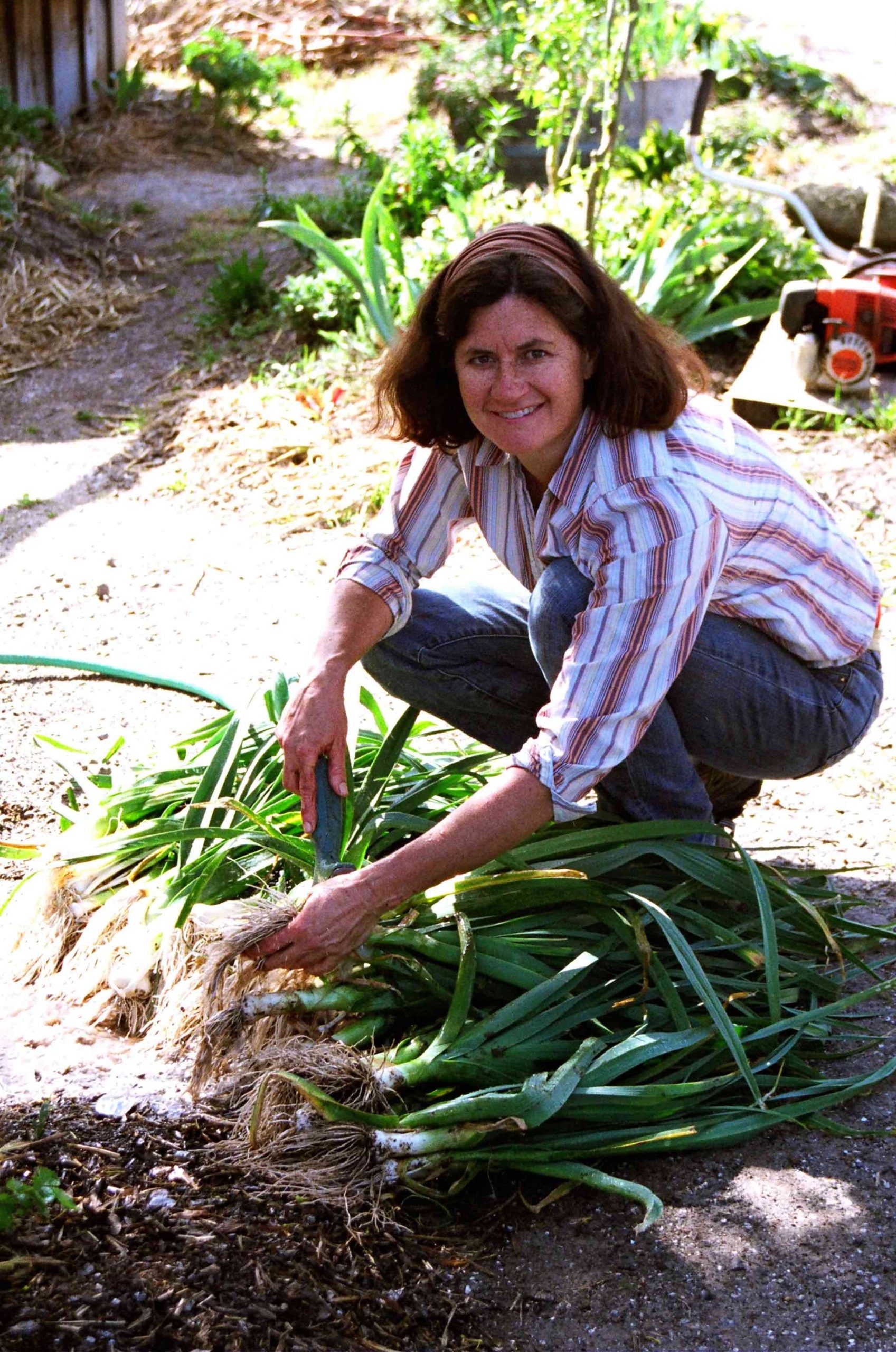 Seed Saving Tips with Sarah McCamant, John Navazio, and Matthew Dillon ...