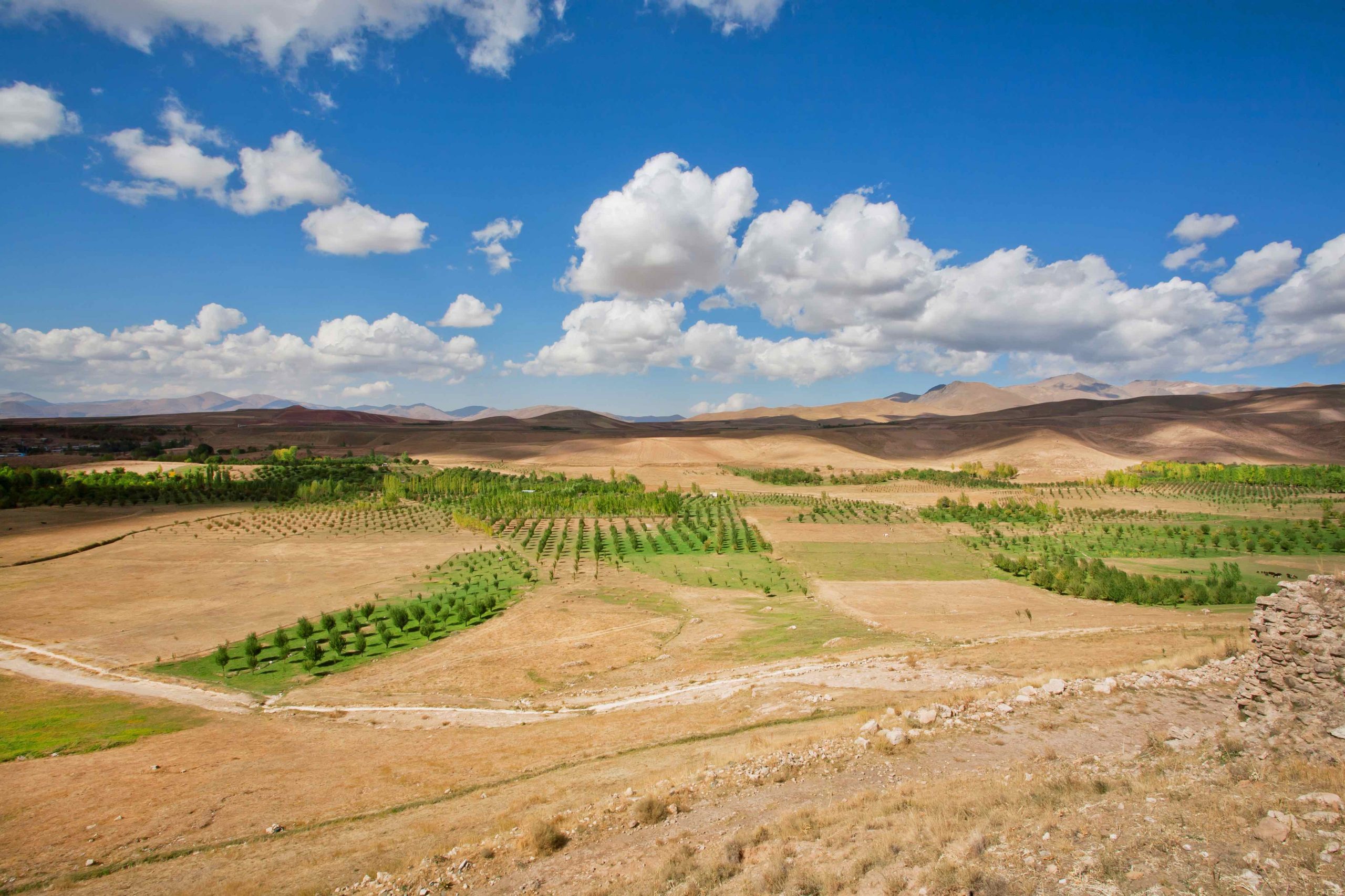Seeds, War and Breeding Crops for Climate Change - Bioneers