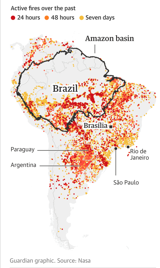 The Amazon is Burning: How, Why & What Can We Do? - Bioneers