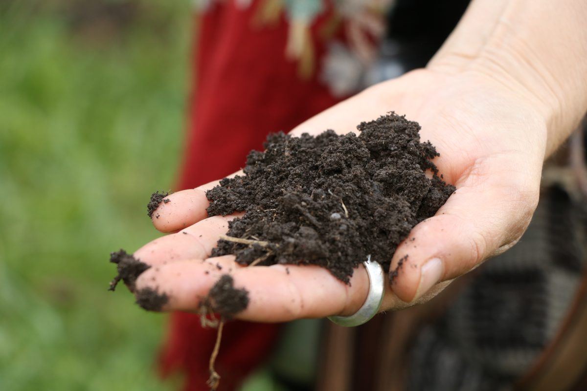 How Soil Health Affects Human Health: An Interview with Dr. Daphne ...