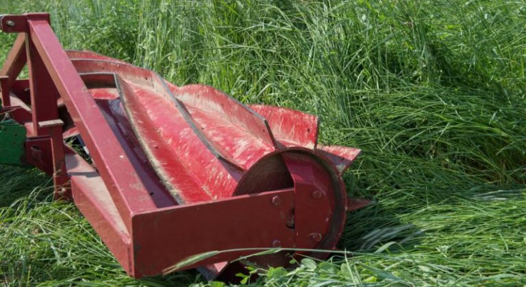 No-Till: Parking the Plow for Soil Health - Bioneers
