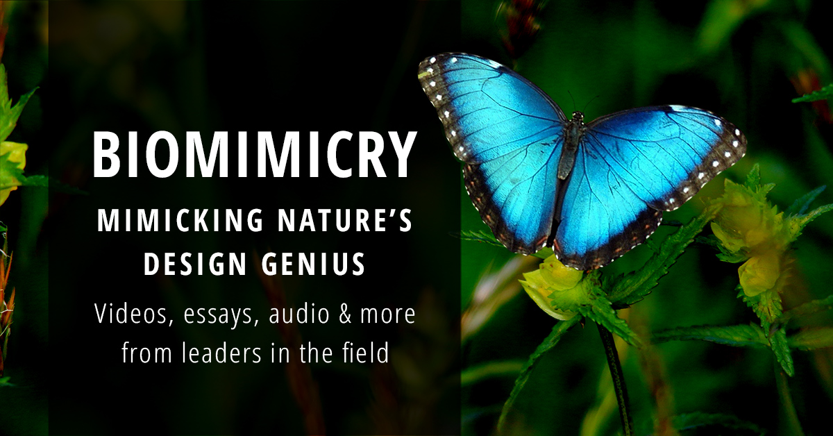 Biomimicry Collection - Bioneers