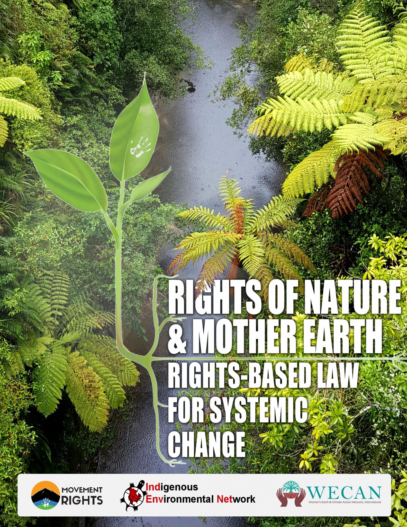 Rights of Nature: A Revolutionary and Growing Movement - Bioneers