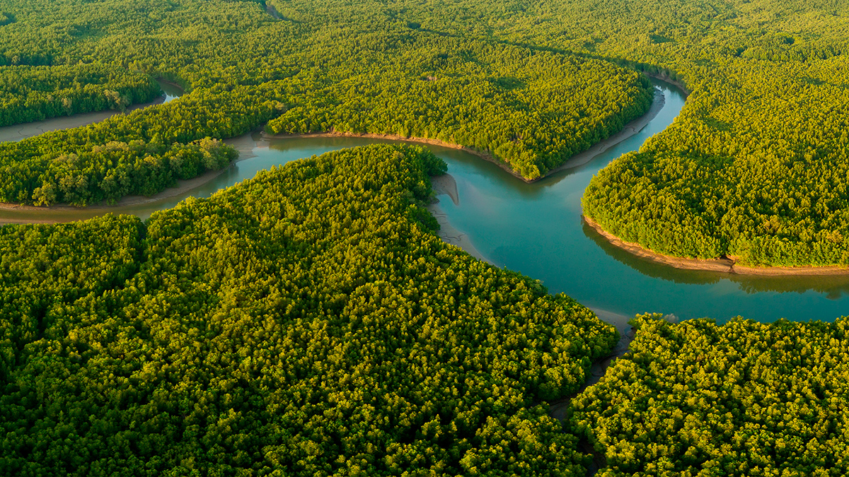Rights of Nature: A Revolutionary and Growing Movement - Bioneers