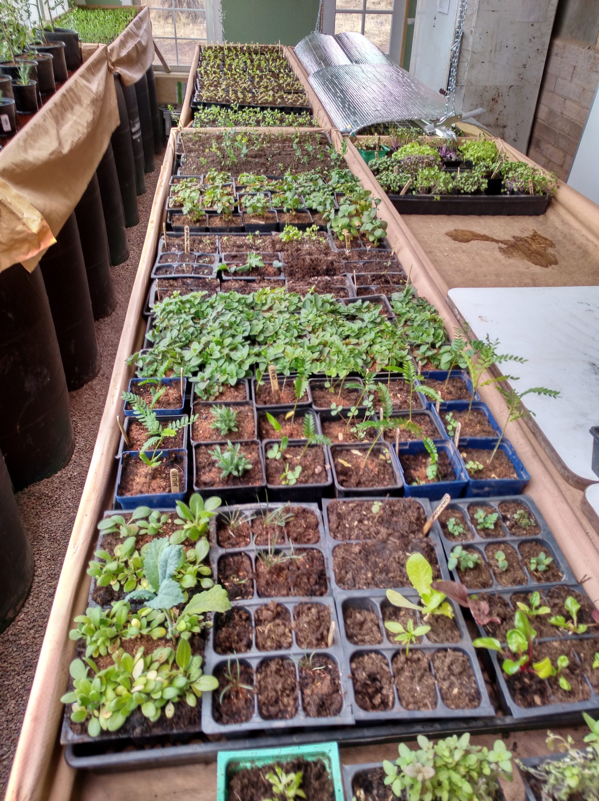 Decolonizing Regenerative Agriculture: An Indigenous Perspective - Bioneers