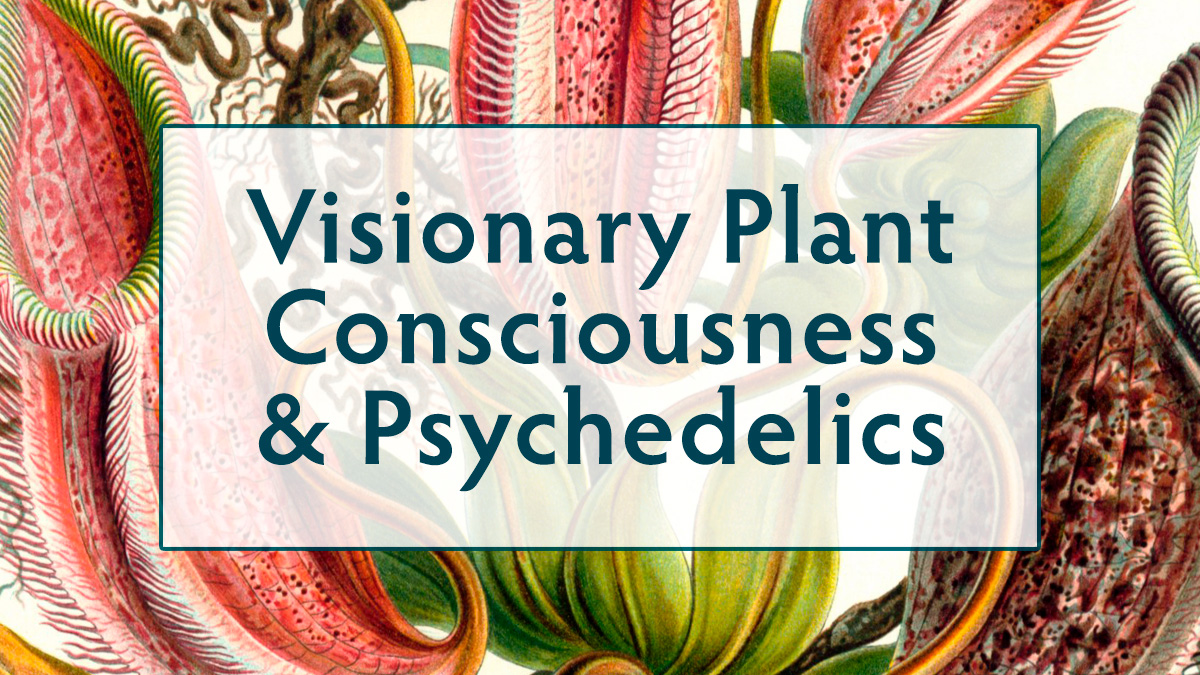 Visionary Plant Consciousness & Psychedelics - Bioneers