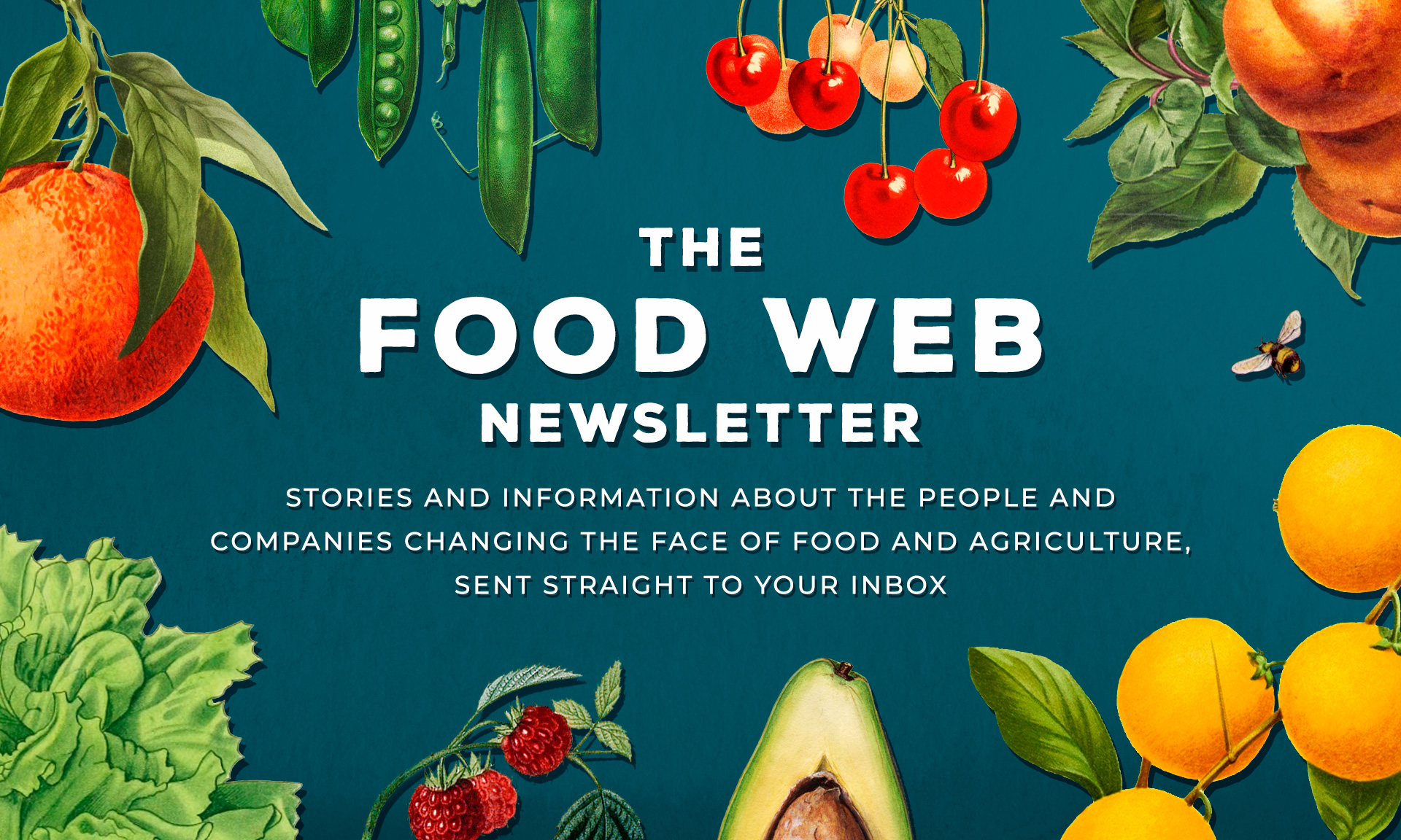 Announcing Our New Food Web Newsletter - Bioneers