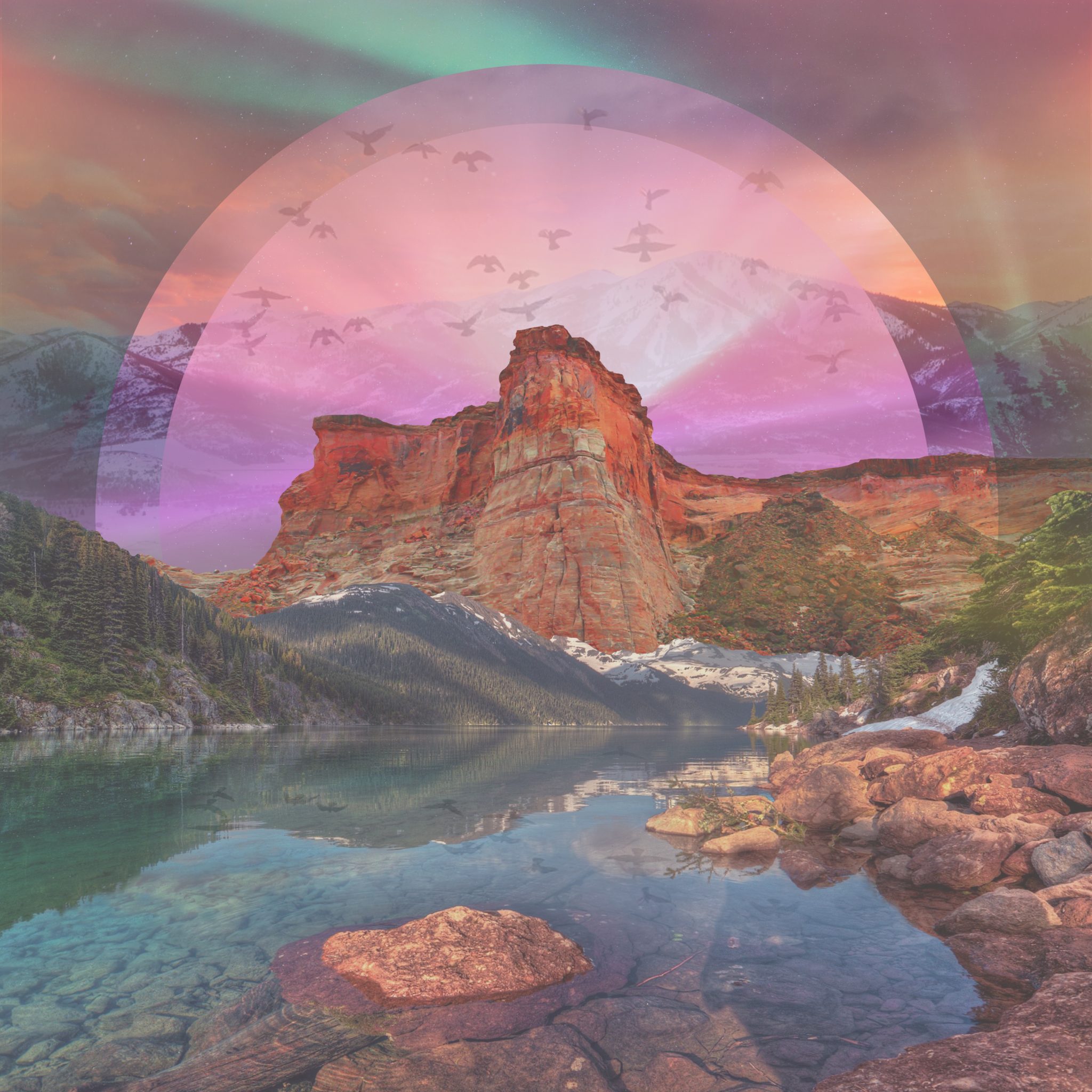 Indigeneity Conversations - Bioneers