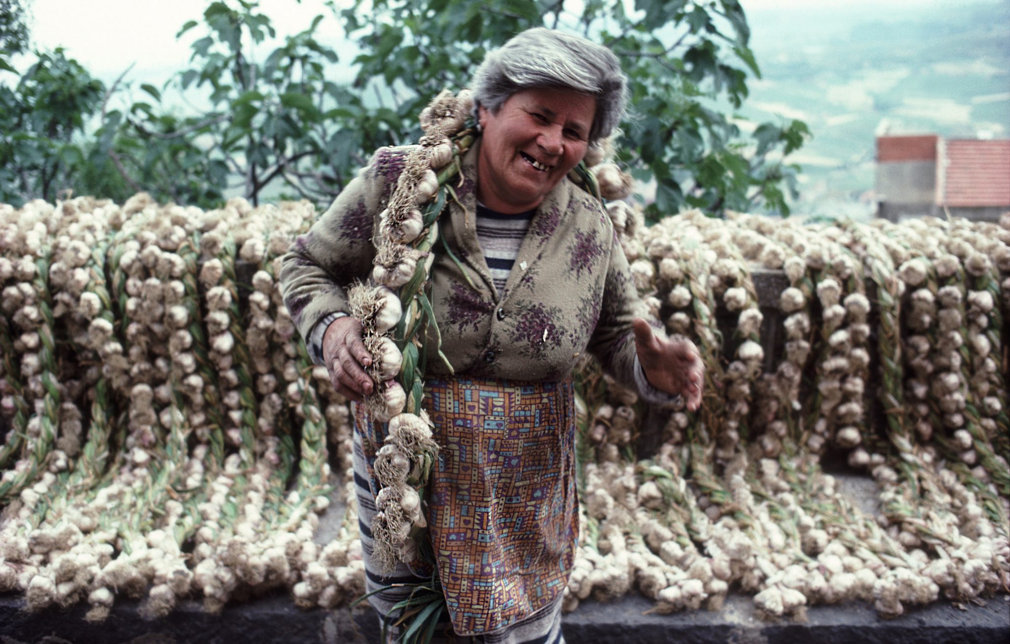From the Good Earth: A Photo Essay of Traditional Agriculture Around ...