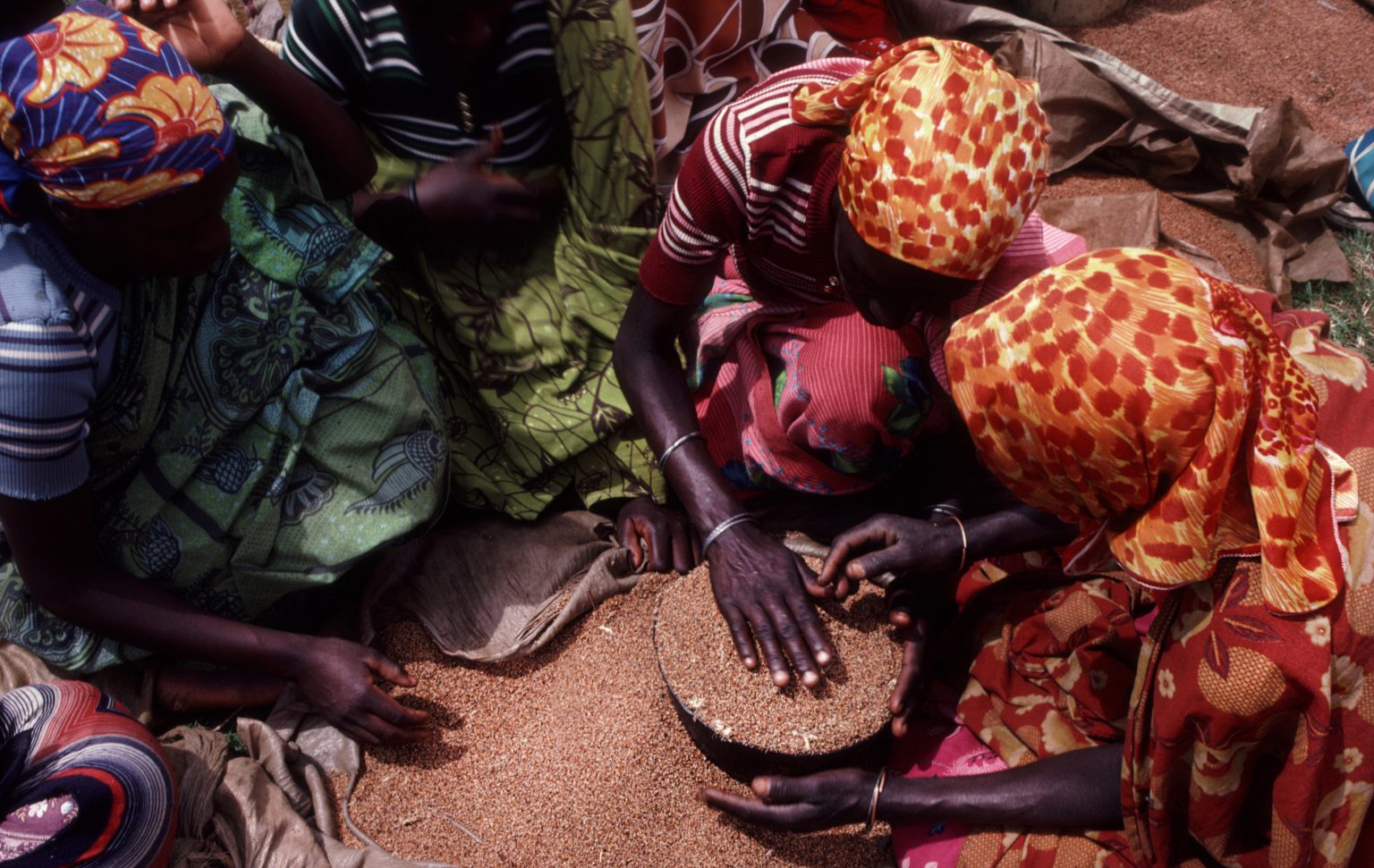 From the Good Earth: A Photo Essay of Traditional Agriculture Around ...