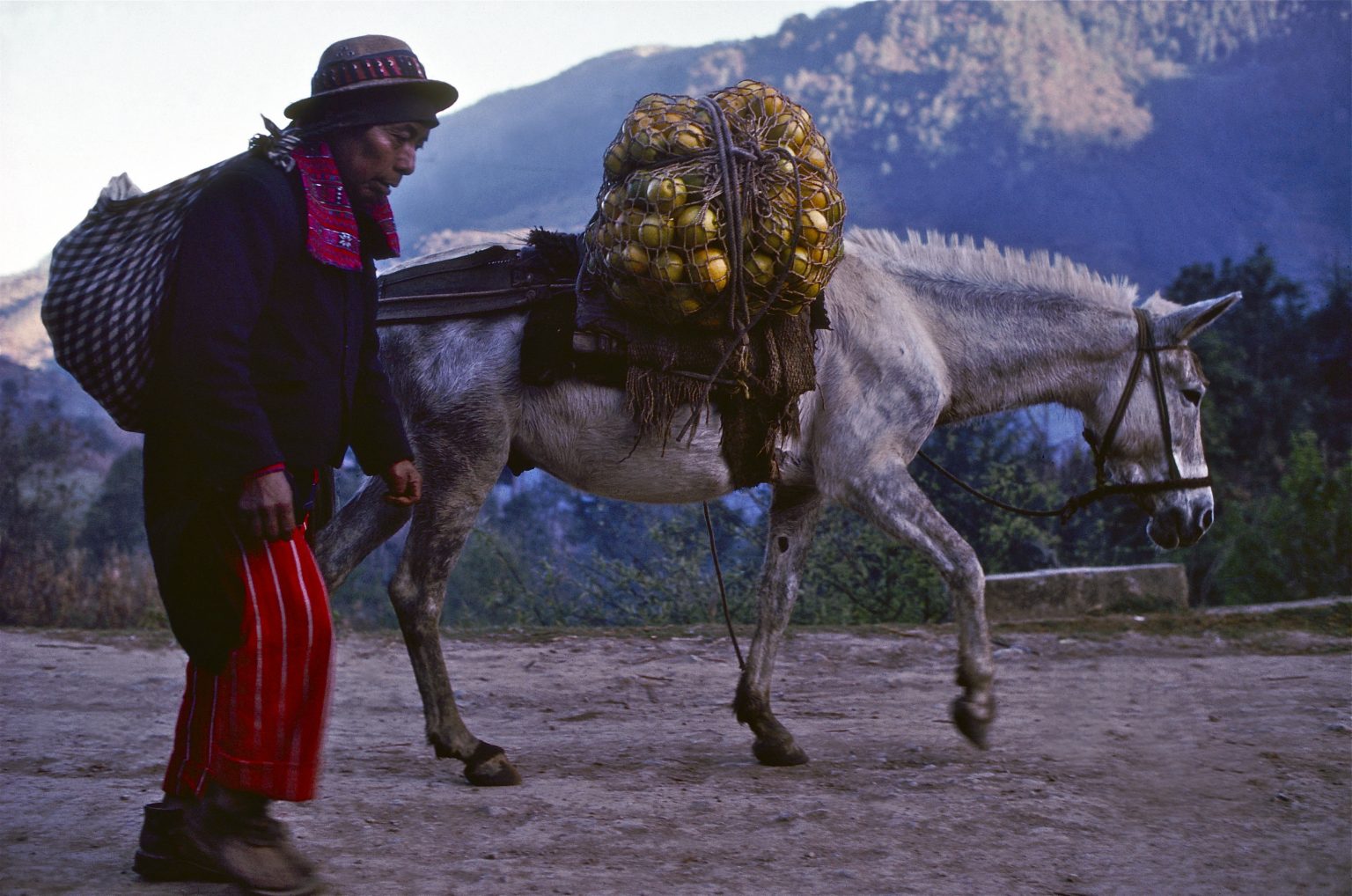 From the Good Earth: A Photo Essay of Traditional Agriculture Around ...