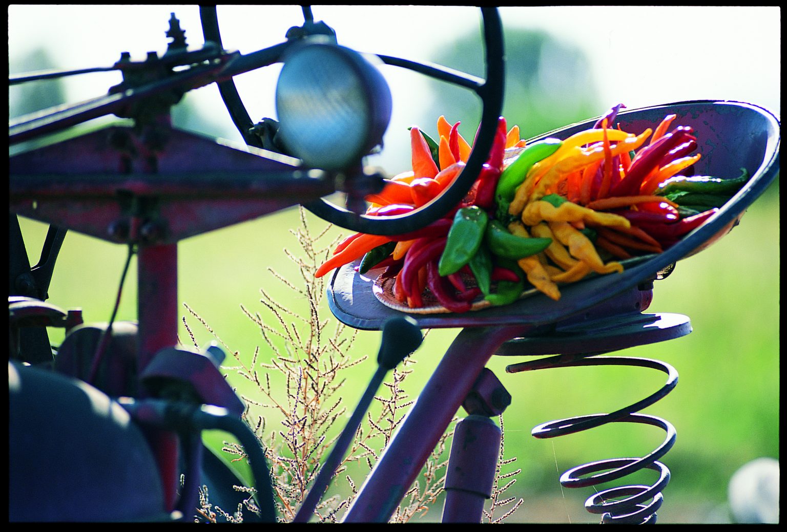 From the Good Earth: A Photo Essay of Traditional Agriculture Around ...