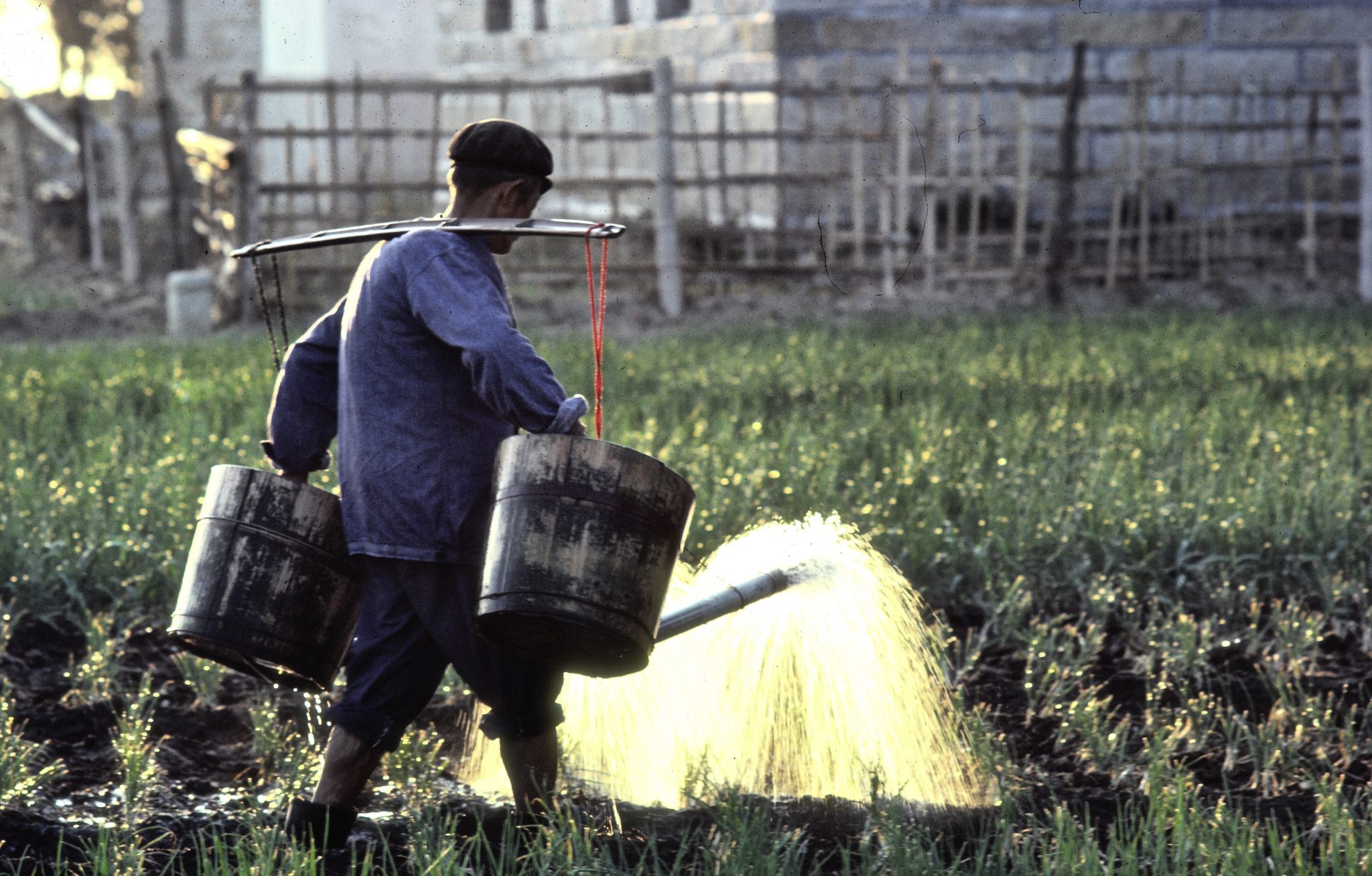 From the Good Earth: A Photo Essay of Traditional Agriculture Around ...