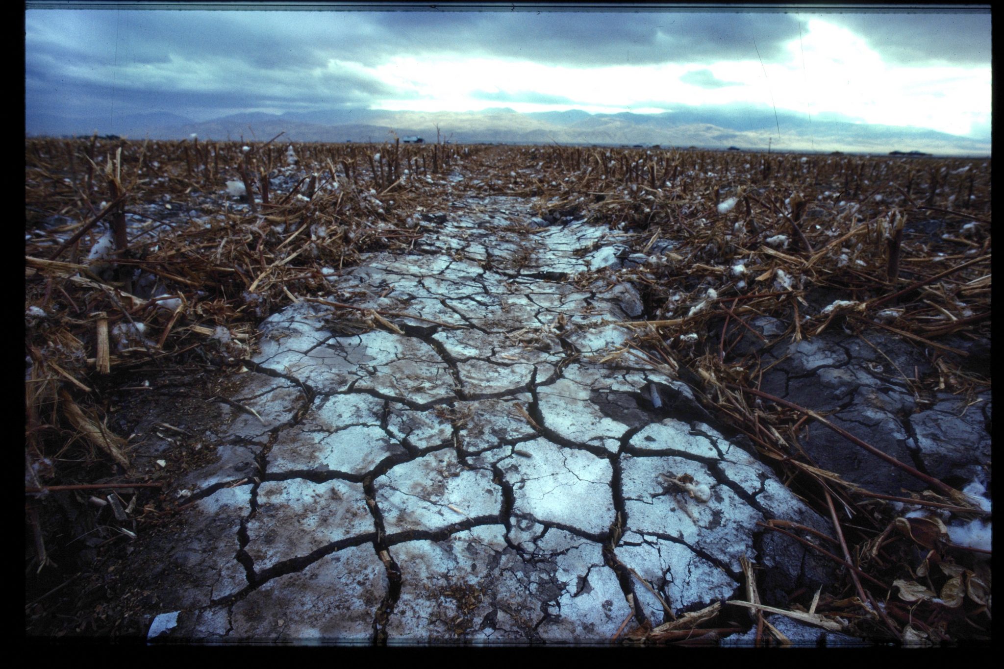 From the Good Earth: A Photo Essay of Traditional Agriculture Around ...