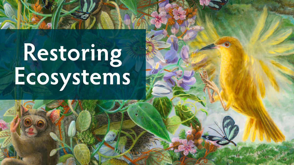 Restoring Ecosystems - Bioneers