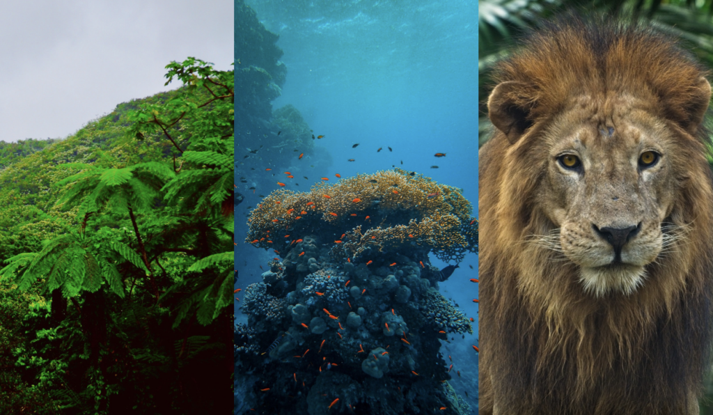 Protecting Biodiversity to Save Life on Earth - Bioneers