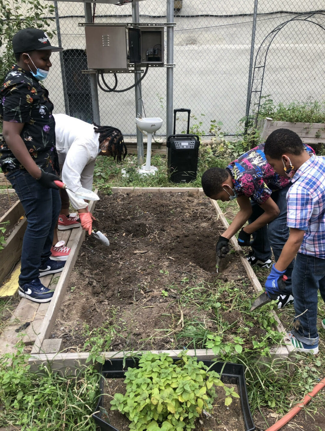 Fight against food apartheid requires creating spaces for Black food ...