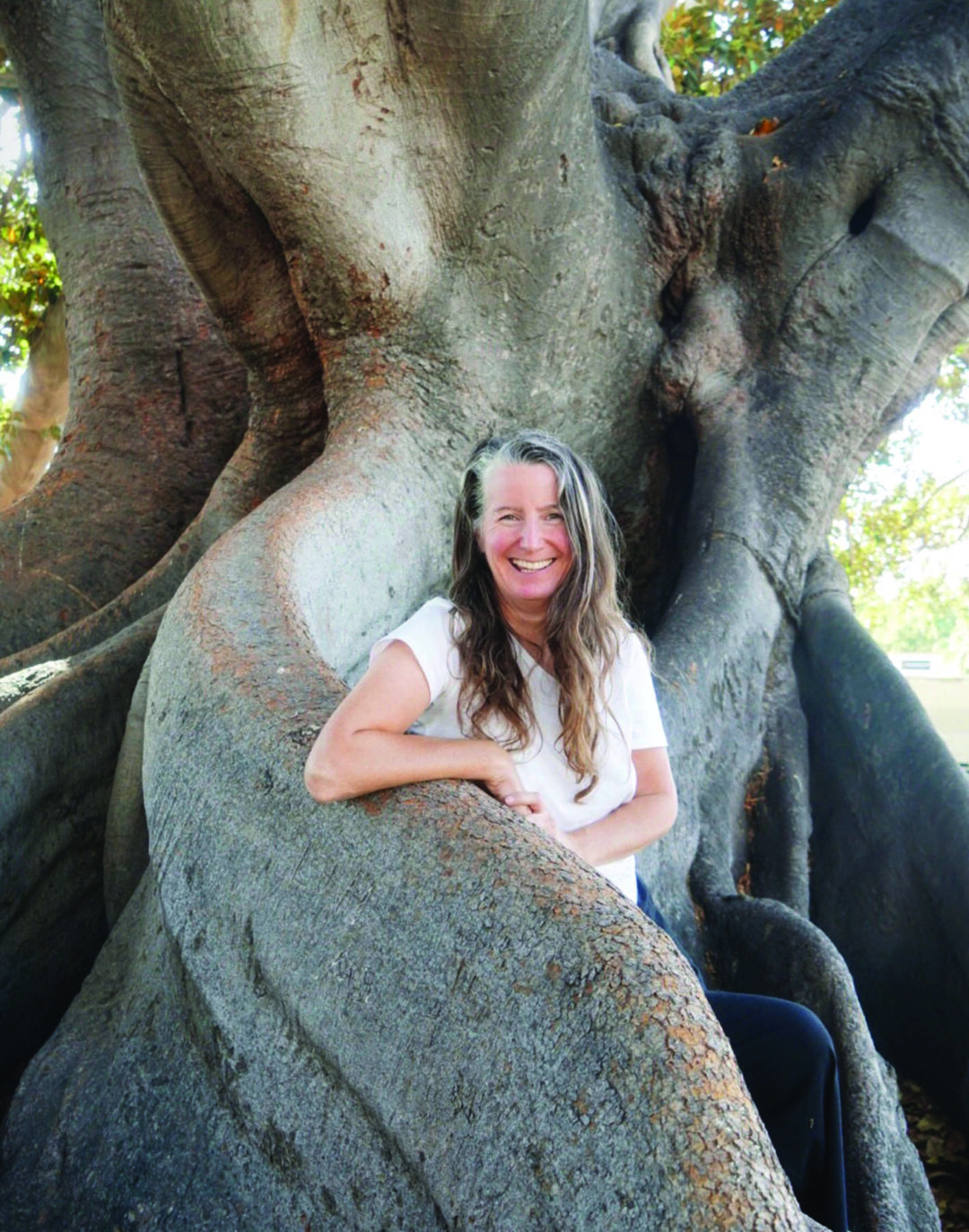 The Language of Trees, A Rewilding of Literature and Landscape | The ...