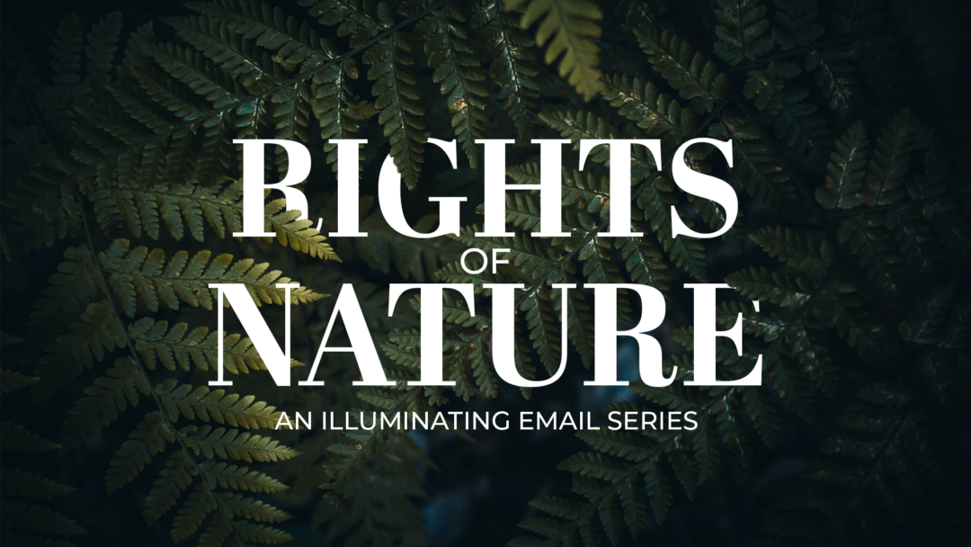 Rights of Nature Email Series - Bioneers