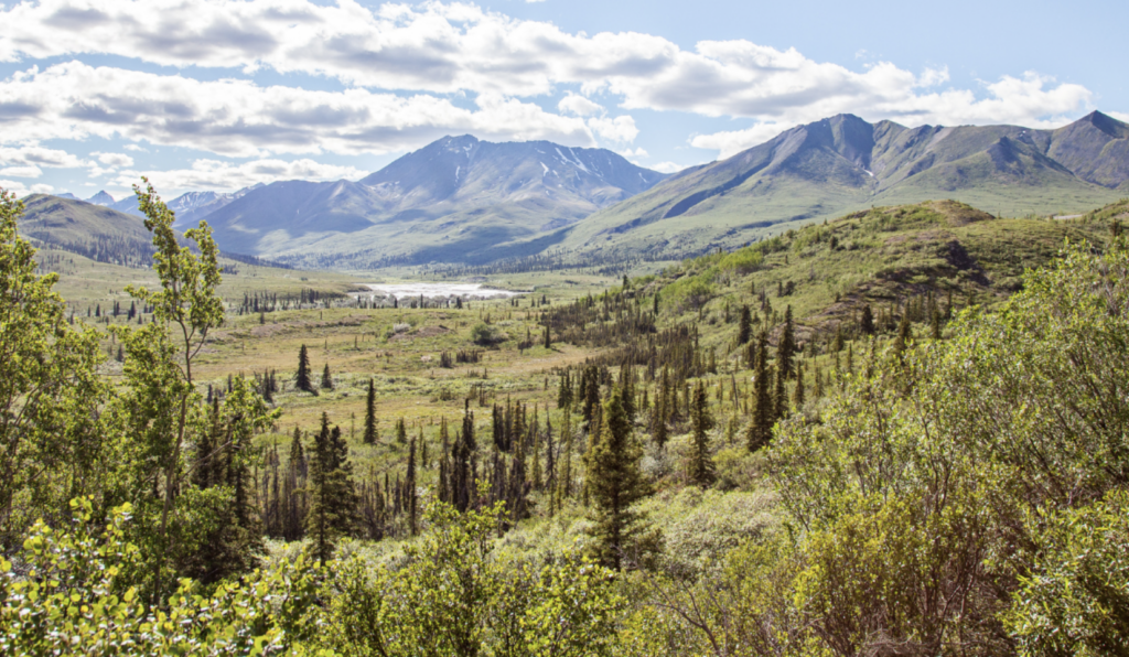 Landback: Restoring People, Place and Purpose - Bioneers