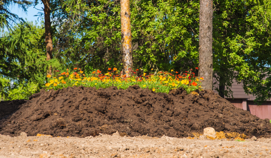 Explore Green Burial and Human Composting with Bioneers - Bioneers
