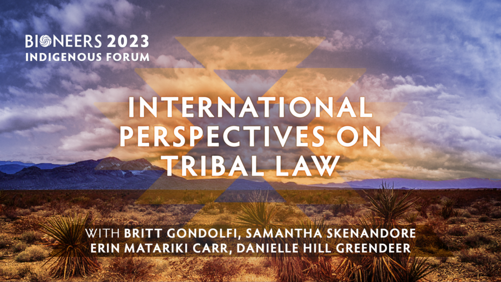 Indigenous Forum – International Perspectives on Rights of Nature in ...