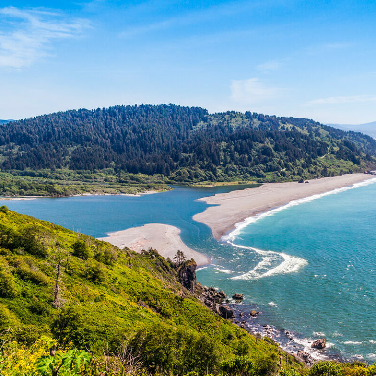 Amy Bowers Cordalis – The Water Remembers: Year Zero - Bioneers