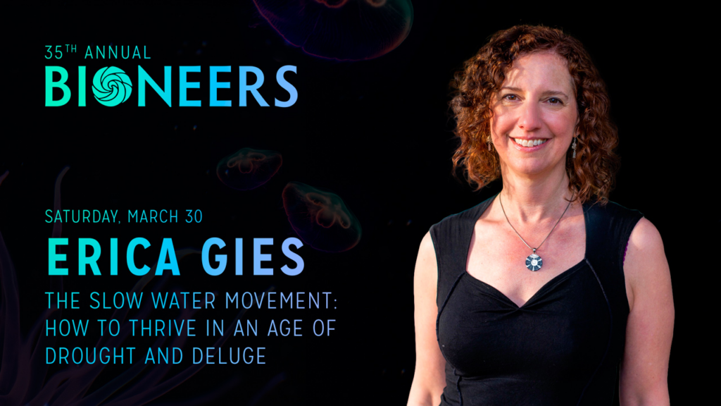 Rethinking Our Relationship to Water Amid the Impacts of Climate Change ...