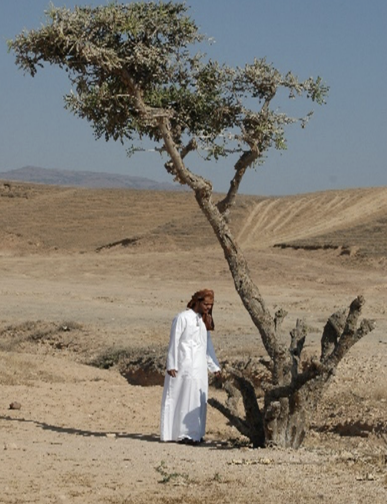 The Sacred Plant Biocultural Recovery Initiative: An Interview with ...