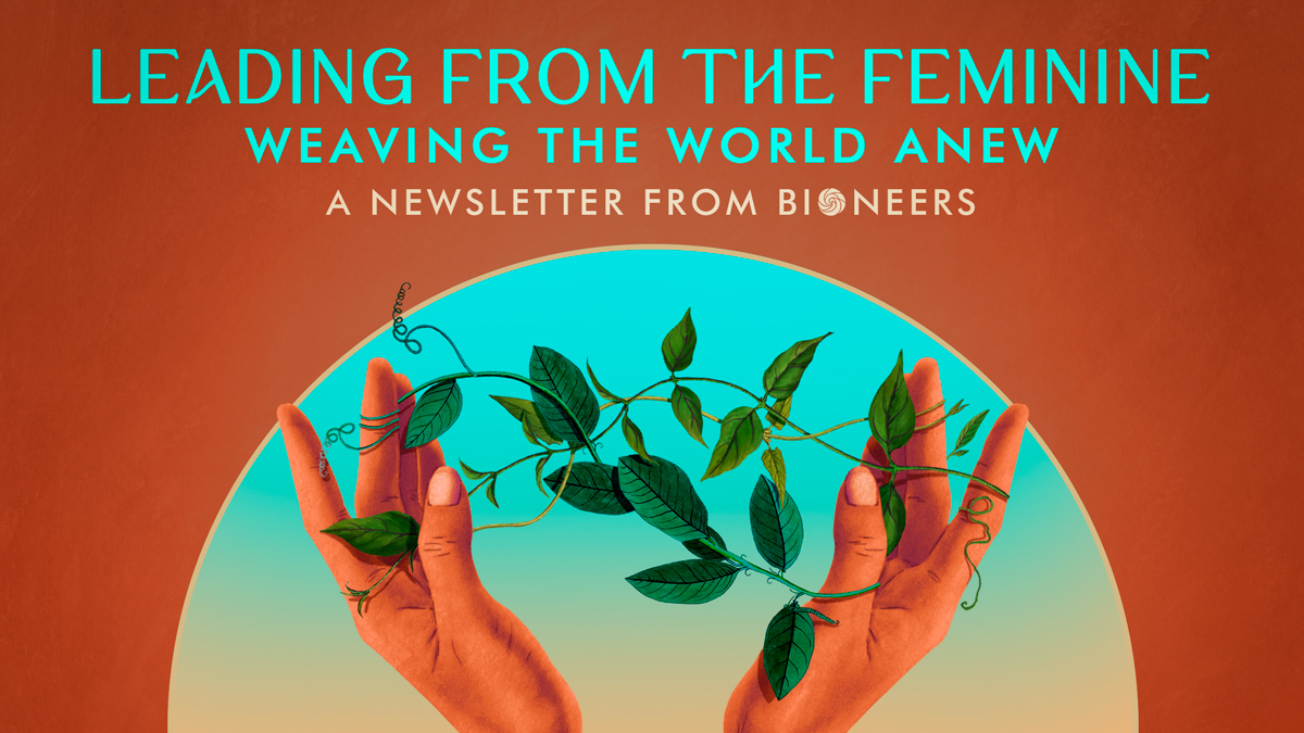 Leading from the Feminine – Bioneers - Bioneers