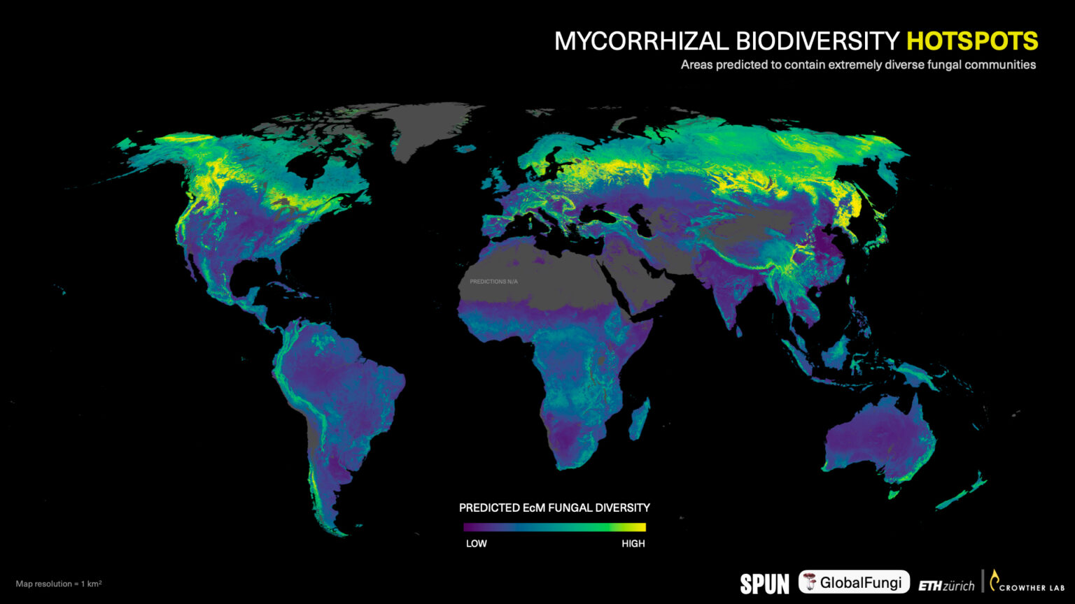 The Universe Beneath Our Feet: Mapping the Mycelial Web of Life - Bioneers