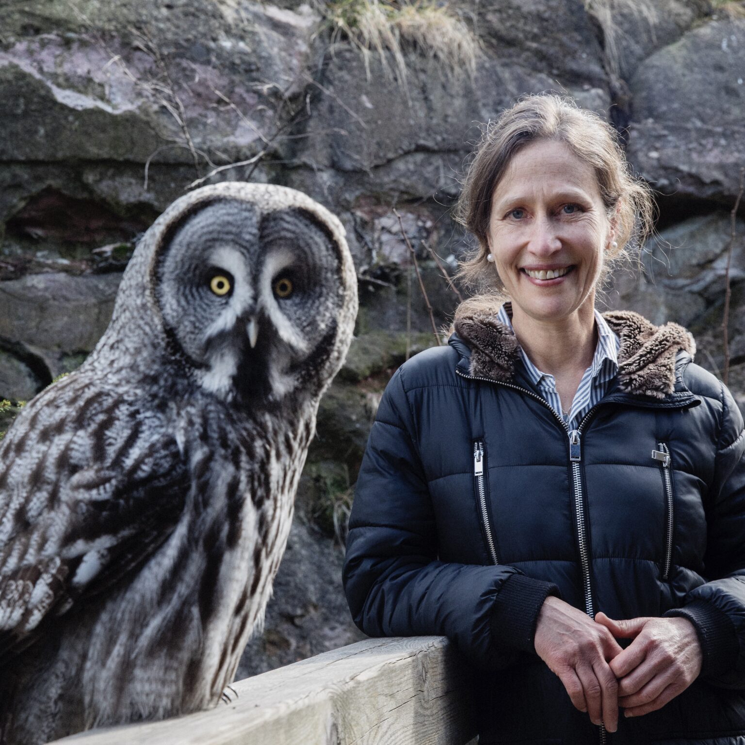What an Owl Knows: Rethinking Bird Brains & Intelligence - Bioneers