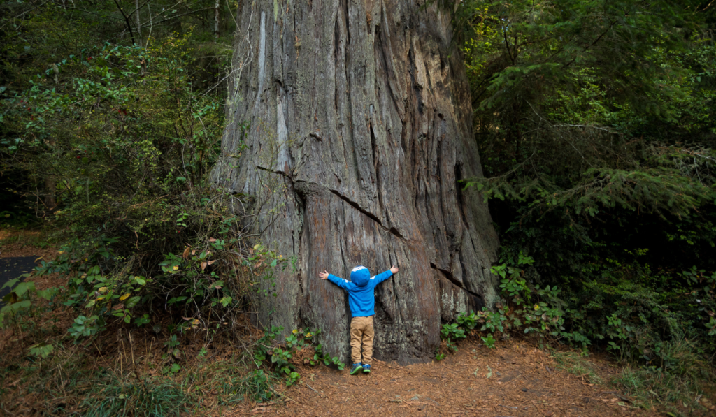 Bringing the Outdoors Back to Childhood - Bioneers