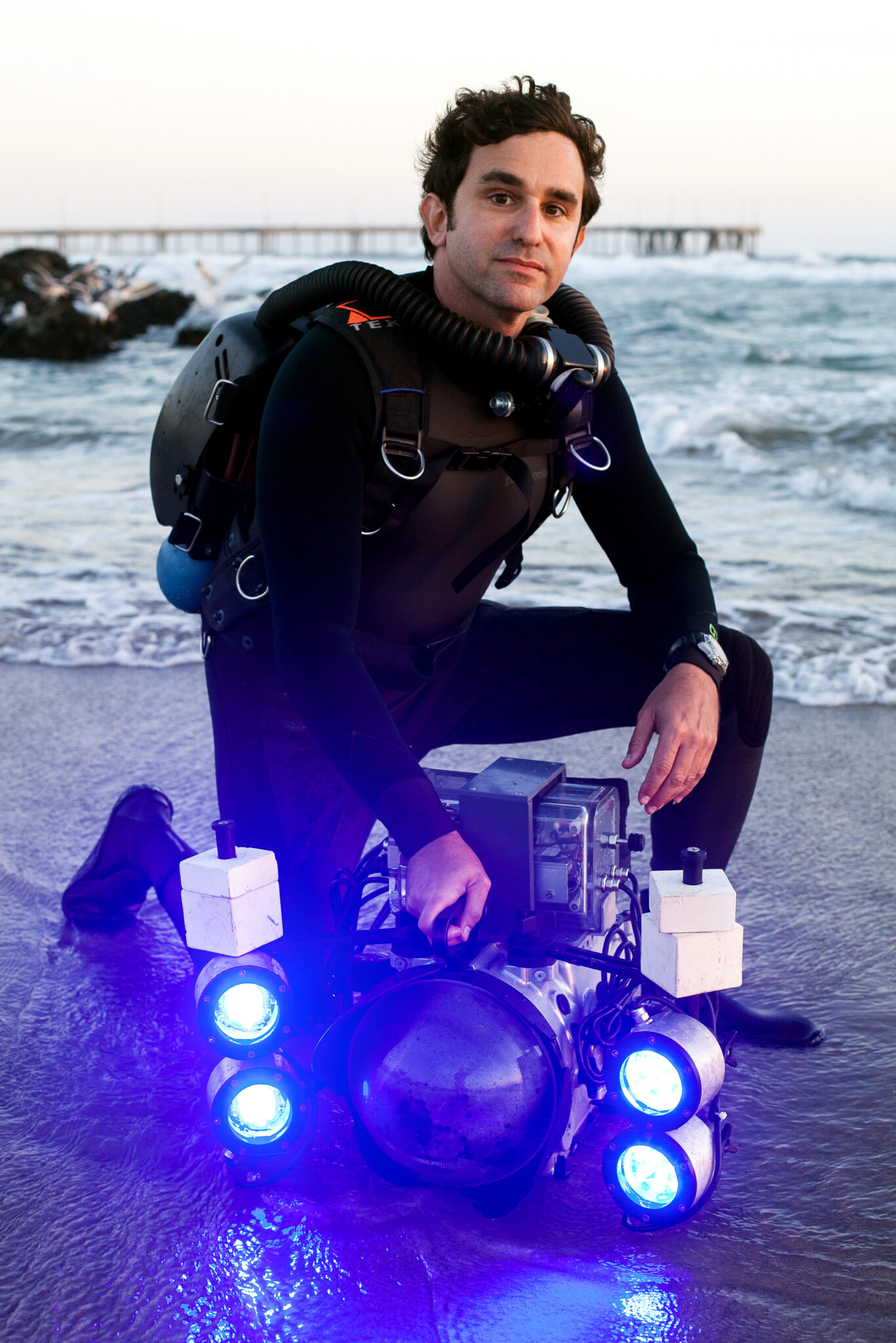 Can AI Decode Whale Sounds? Project CETI is Here to Find Out - Bioneers