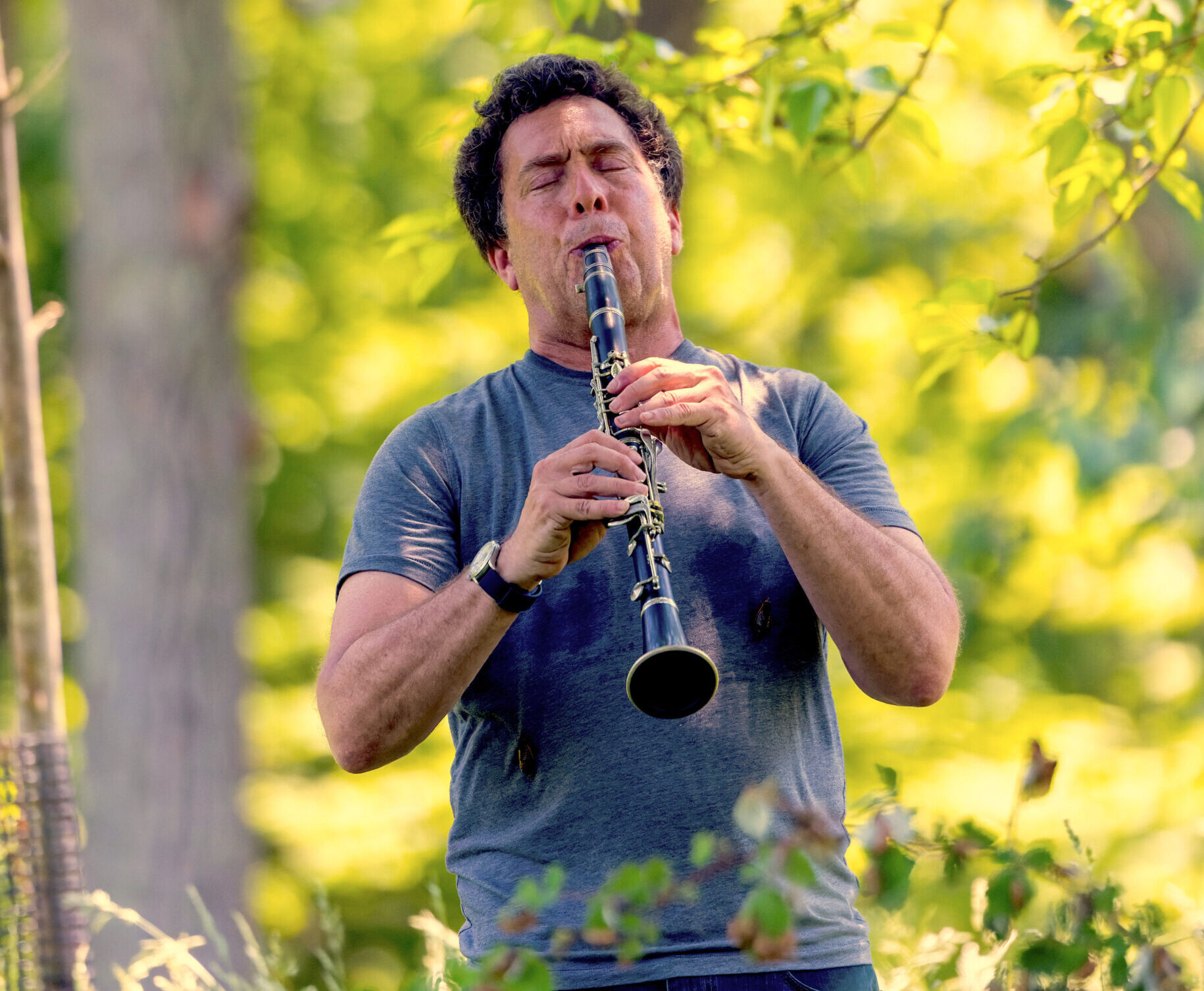 Making Music with the More-Than-Human World: A Conversation with David ...