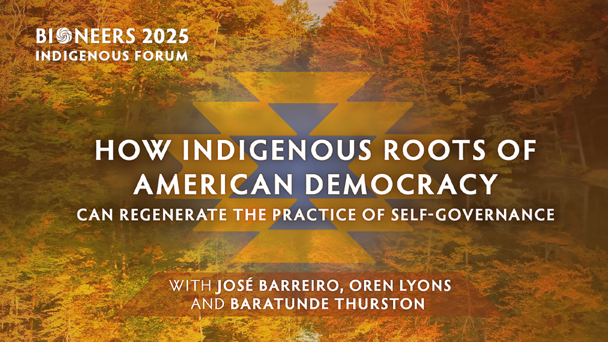How Indigenous Roots of American Democracy Can Regenerate the Practice ...